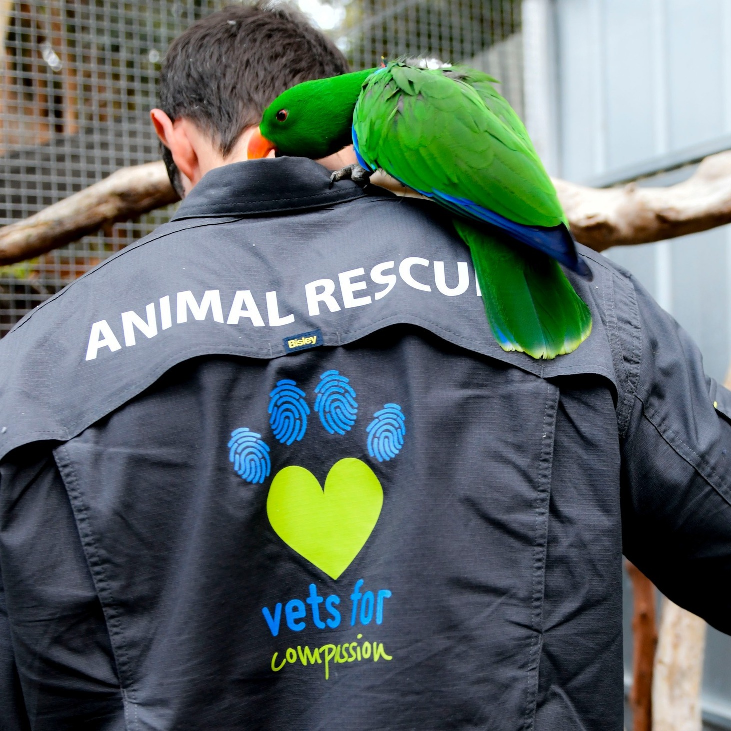 Contact Us – Vets for Compassion