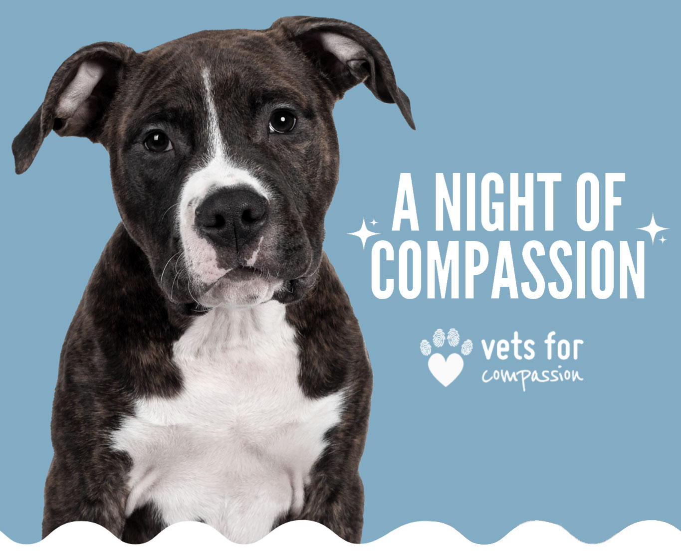 Vets for Compassion Projects